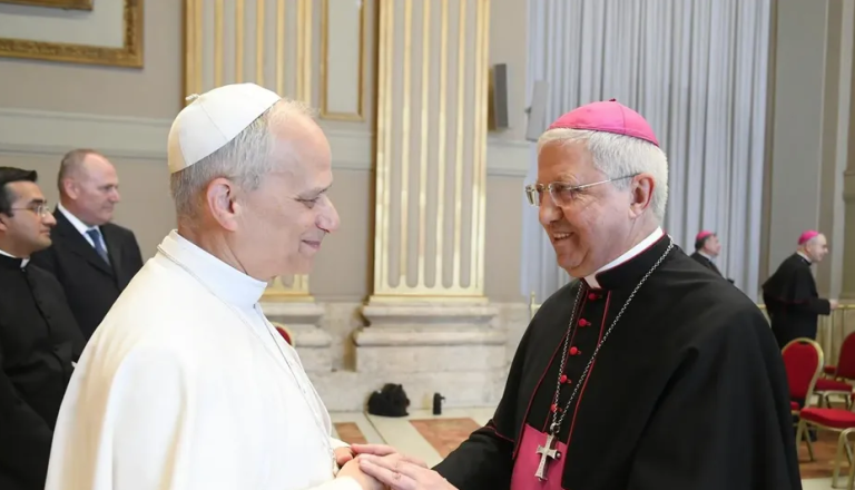 Papa Leone XIV a Sant'Angelo - Diocesi di Lodi